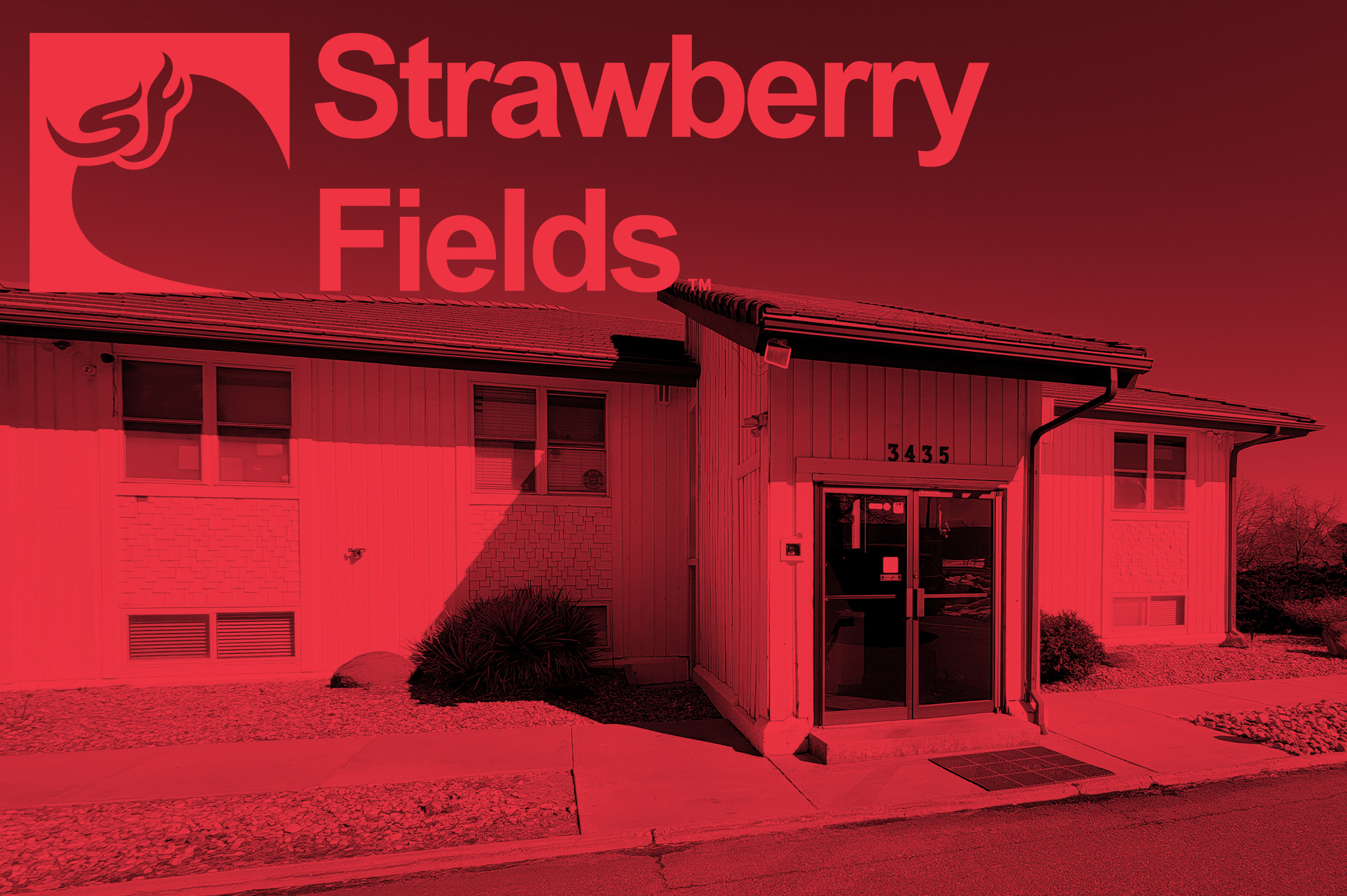 Recreational Cannabis Dispensaries Near Me in Colorado